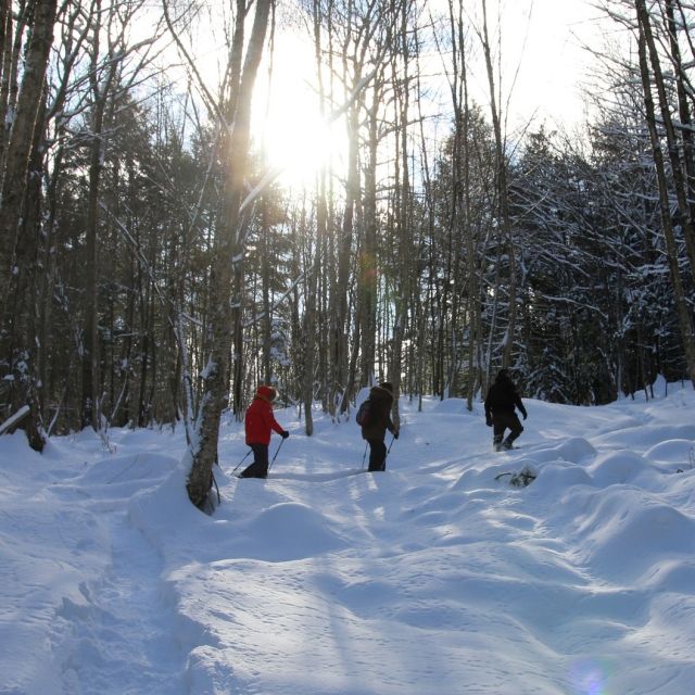 Photo Gallery | Alpine Adventures